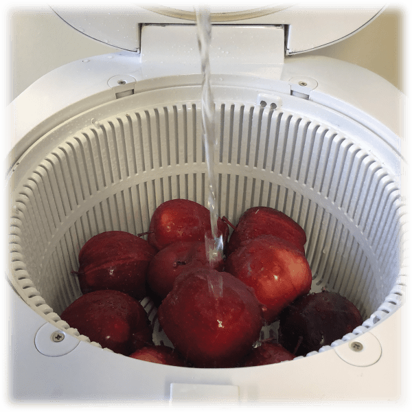 Meh: Lifesmart TrueWash All-in-One Wet/Dry Sanitizing System for Fruits ...
