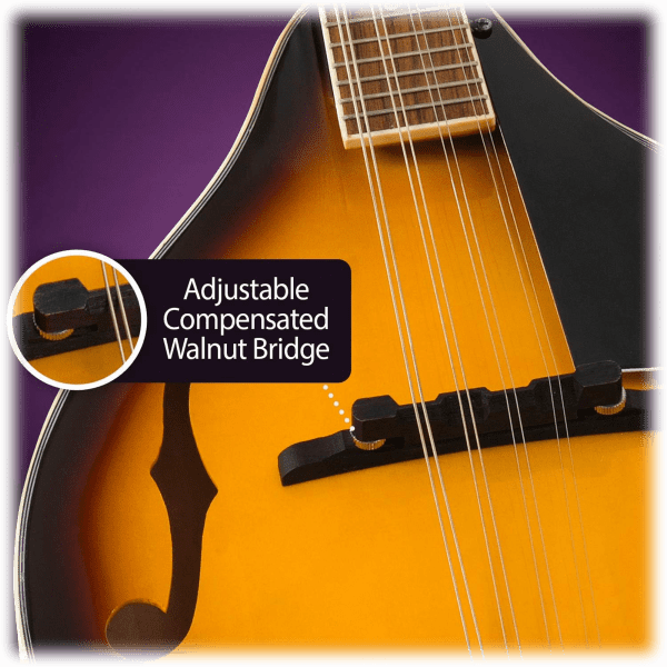 SideDeal: Hola! Music A Style Mandolin Instrument with Adjustable Truss-Rod