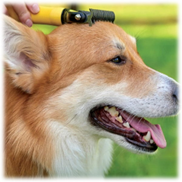 SideDeal: Pat Your Pet Pawradise Deshedding Dog Brush