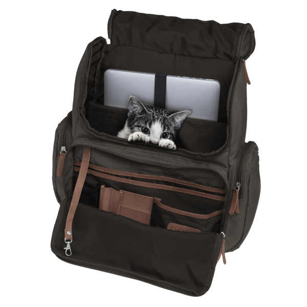 MorningSave: Dopp Brand Canvas Backpacks