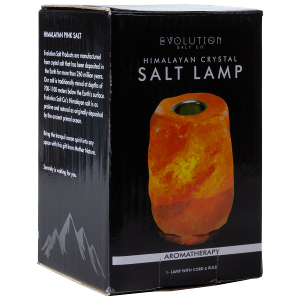 Meh: Evolution Salt Co. Himalayan Salt Lamp with Essential Oil Diffuser