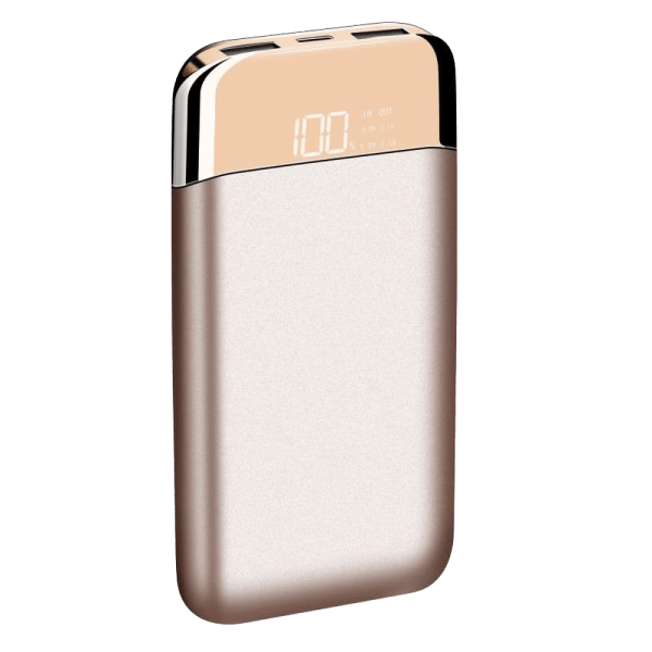 MorningSave: LAX Pro 12000mAh Power Bank with 2 High-Speed USB Ports