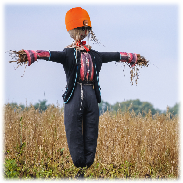 MorningSave: Panther Vision Rechargeable 3.0 Compression Fleece Beanie