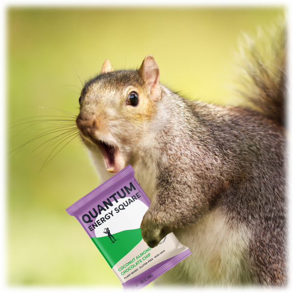 Meh: 48-Pack: Quantum Energy Square Bars with Caffeine & 10g Protein