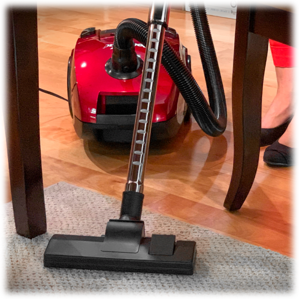 MorningSave: ReadiVac Surge Canister