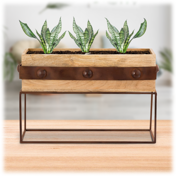 SideDeal: Large Rustic Planter