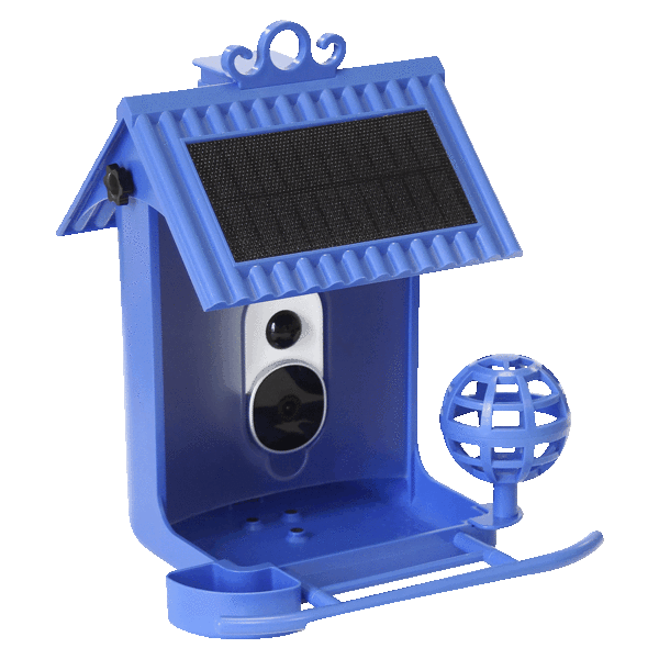 MorningSave: Mid-Year Refresh