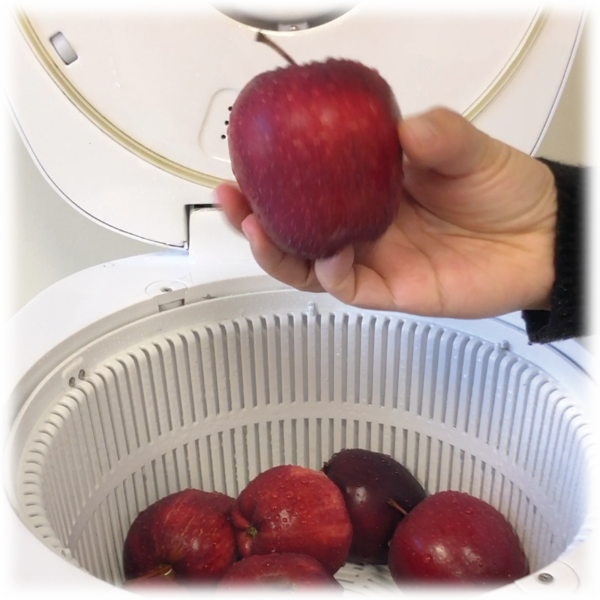 Meh: Lifesmart TrueWash All-in-One Wet/Dry Sanitizing System for Fruits ...