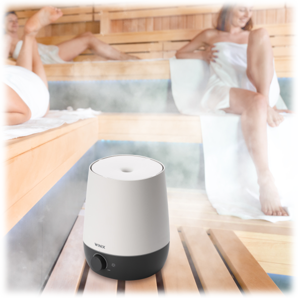 Meh: Winix L60 0.6 Gallon Ultrasonic Humidifier with Night Mood Light