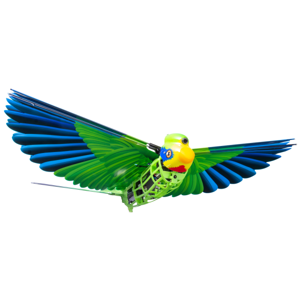 Meh: Zing Go Go Remote Control Flying Bird