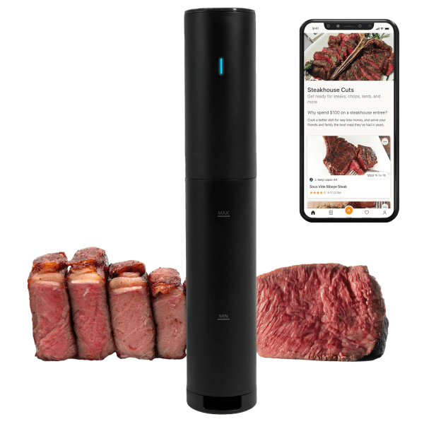 SideDeal: Anova Precision Cooker Mini Sous Vide