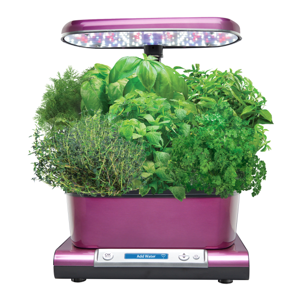 MorningSave: AeroGrow AeroGarden Harvest Elite Wi-Fi in Eggplant