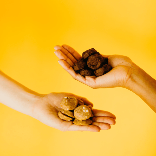Meh: Pick-Your-12-Pack: Rule Breaker Vegan & Gluten-Free Cookies