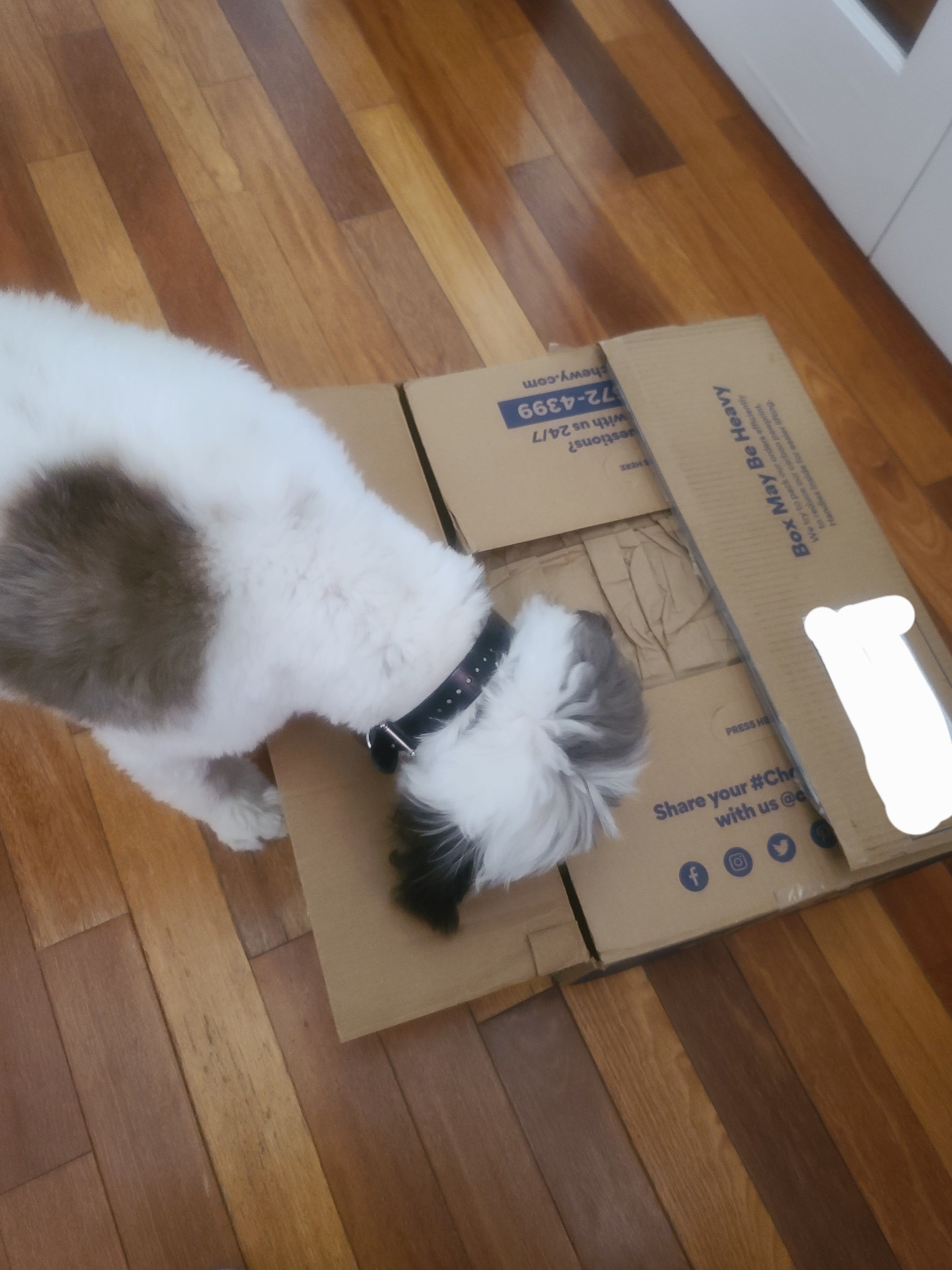 Meh The Treats Have ARRIVED 