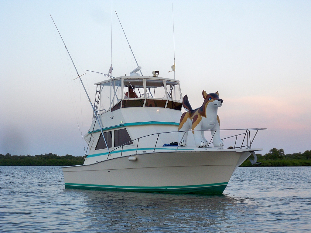 Meh: Jan 6 boat of day
