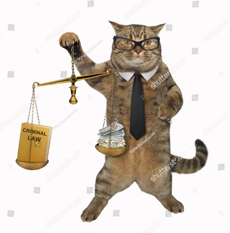 Meh: Stock photos for your every need