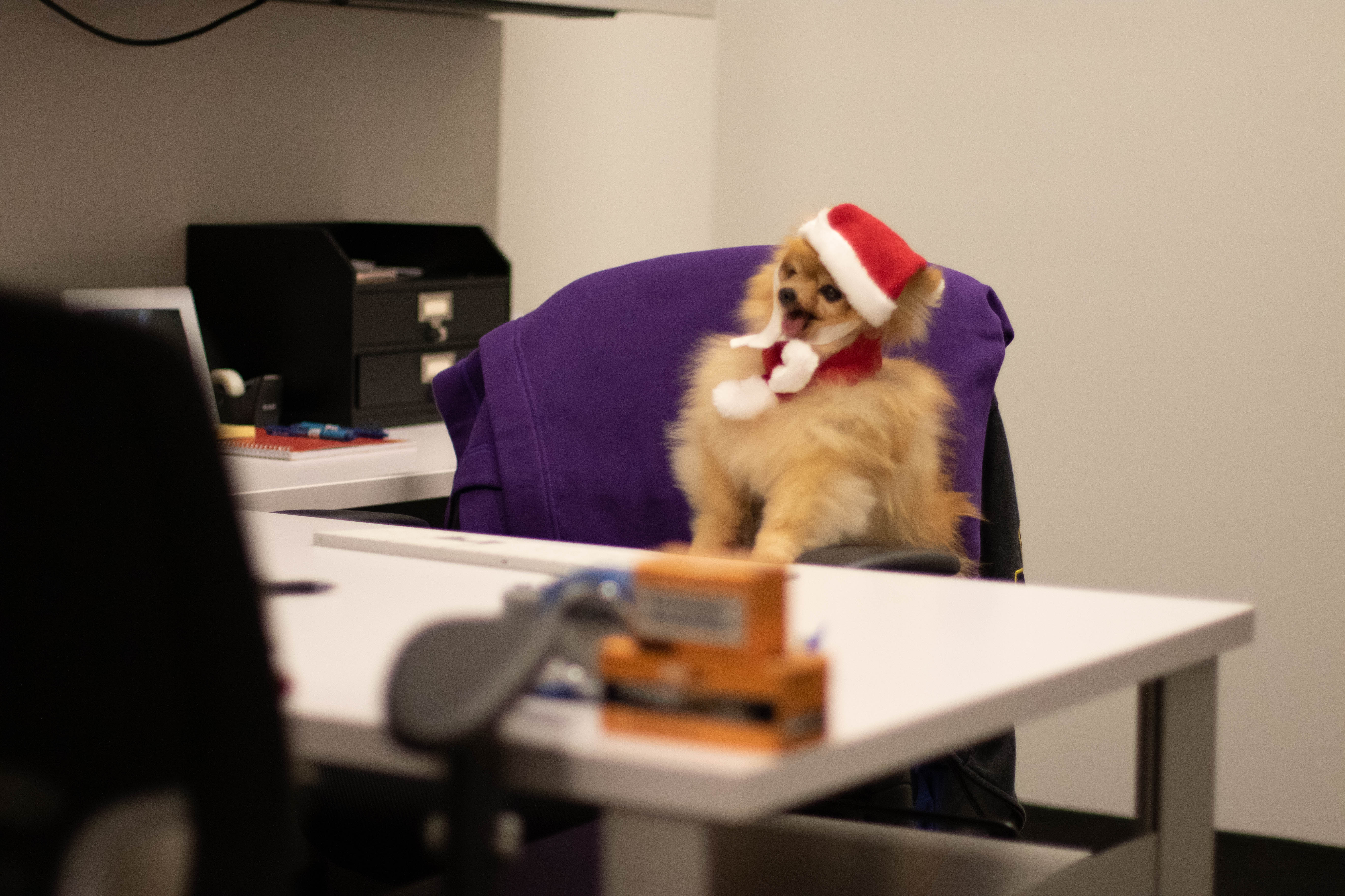 Meh: Have yourself a very Mehrry Muppet