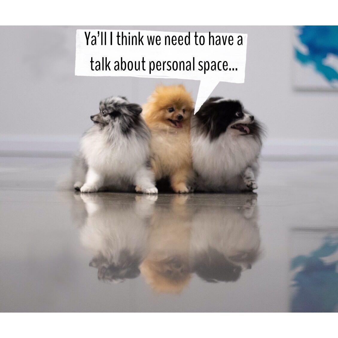 Meh: Mehrry Muppet's POMSQUAD