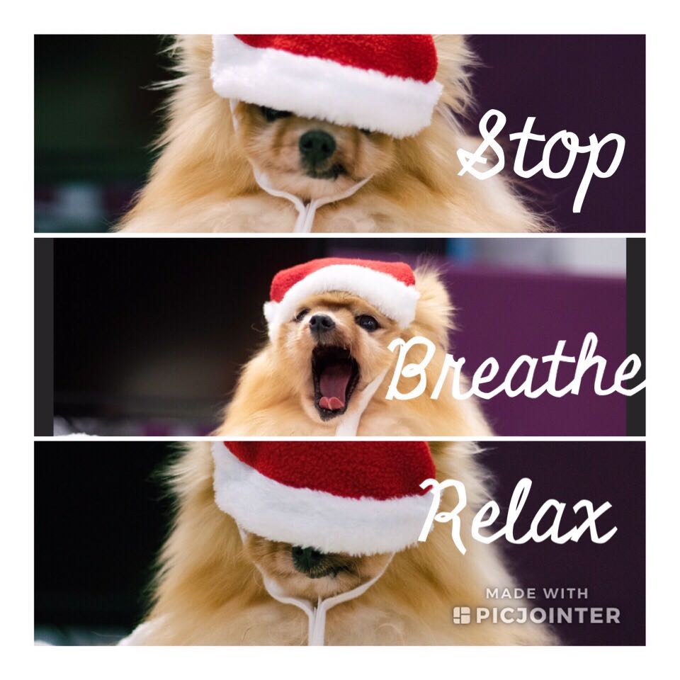 Meh: Thursday Thoughts with your Mehrry Muppet