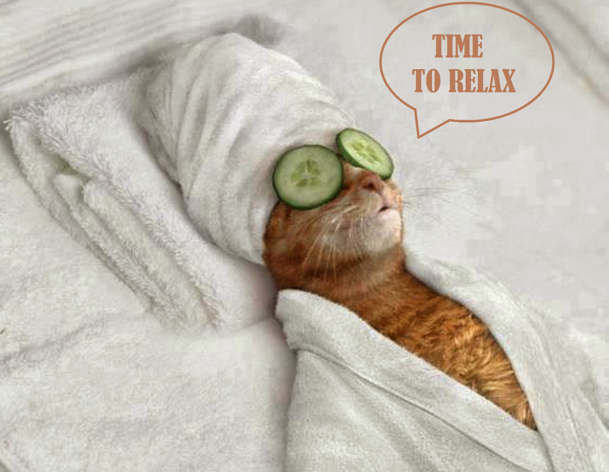 Meh: Thursday Thoughts with your Mehrry Muppet